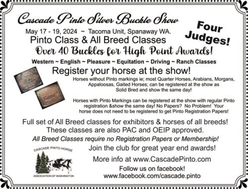 Cascade Pinto - Equine Events